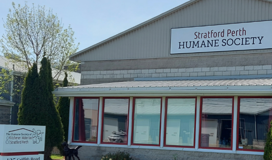 Pet Pics Holiday Edition Are Here & Benefit The Humane Society of ...