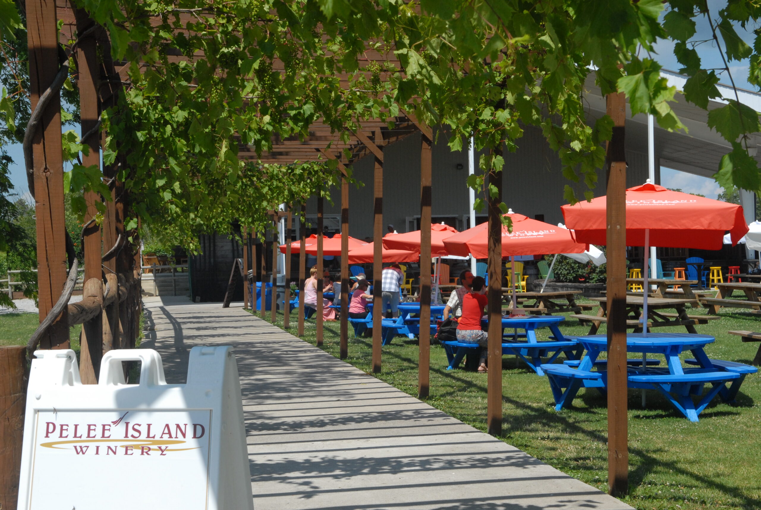 Live Music The Pelee Island Winery Pavilion Bob Dan Pelee